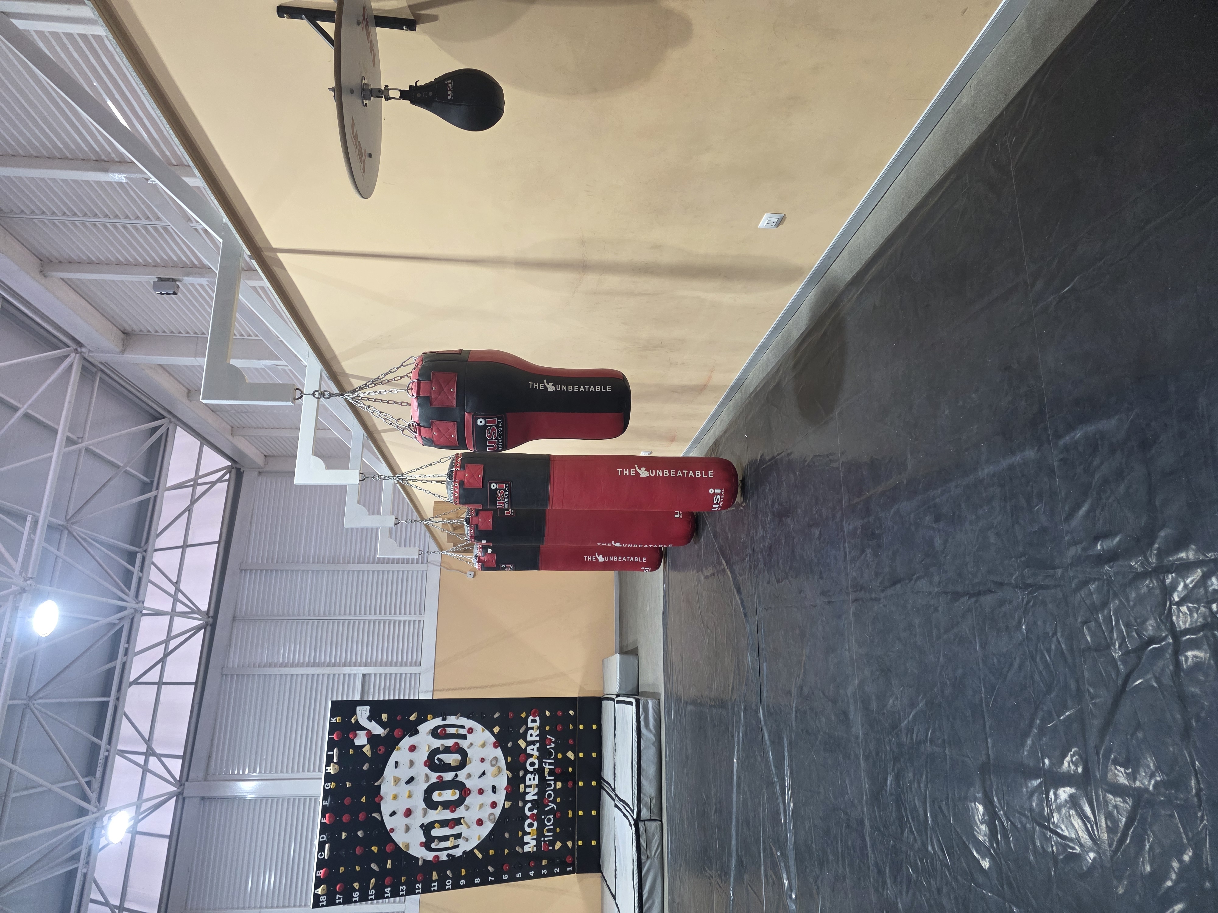 Wolf Academy India | Best MMA & Boxing Classes in Bangalore