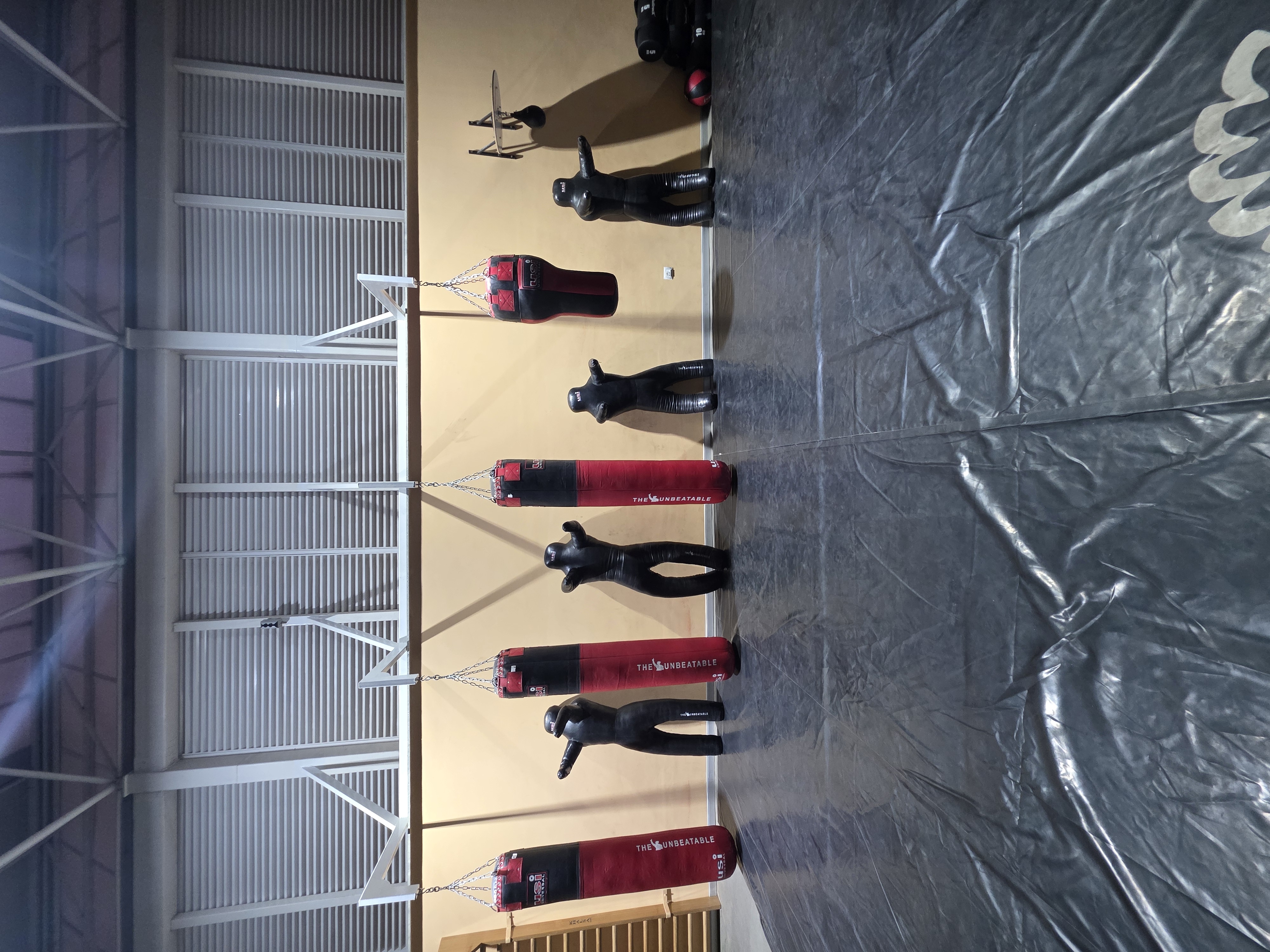 Wolf Academy India | Best MMA & Boxing Classes in Bangalore